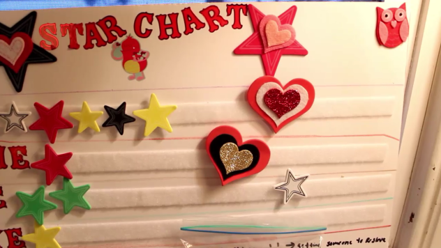 DIY Behavior Chart | Debt Free Dana